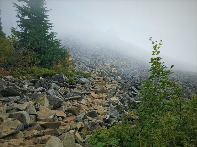 Mailbox Peak Trail (Old Trail and New Trail) - Seattle's Most ...